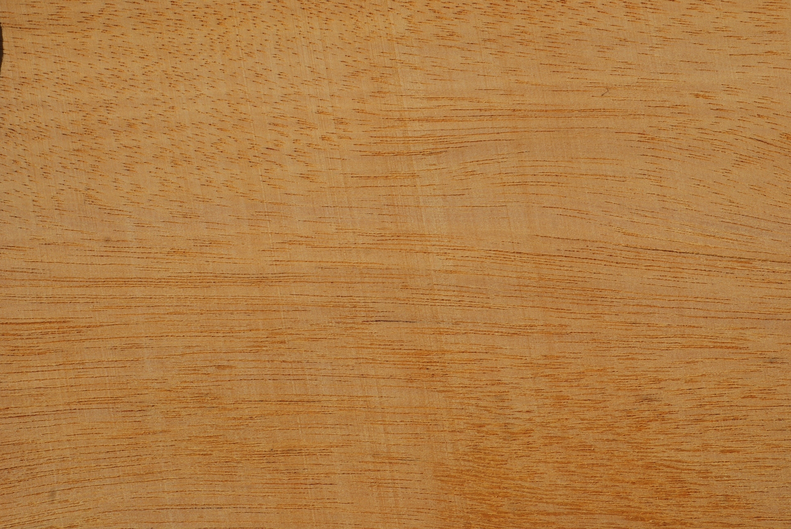 Bilinga - Merkmale & Eigenschaften - Holz vom Fach