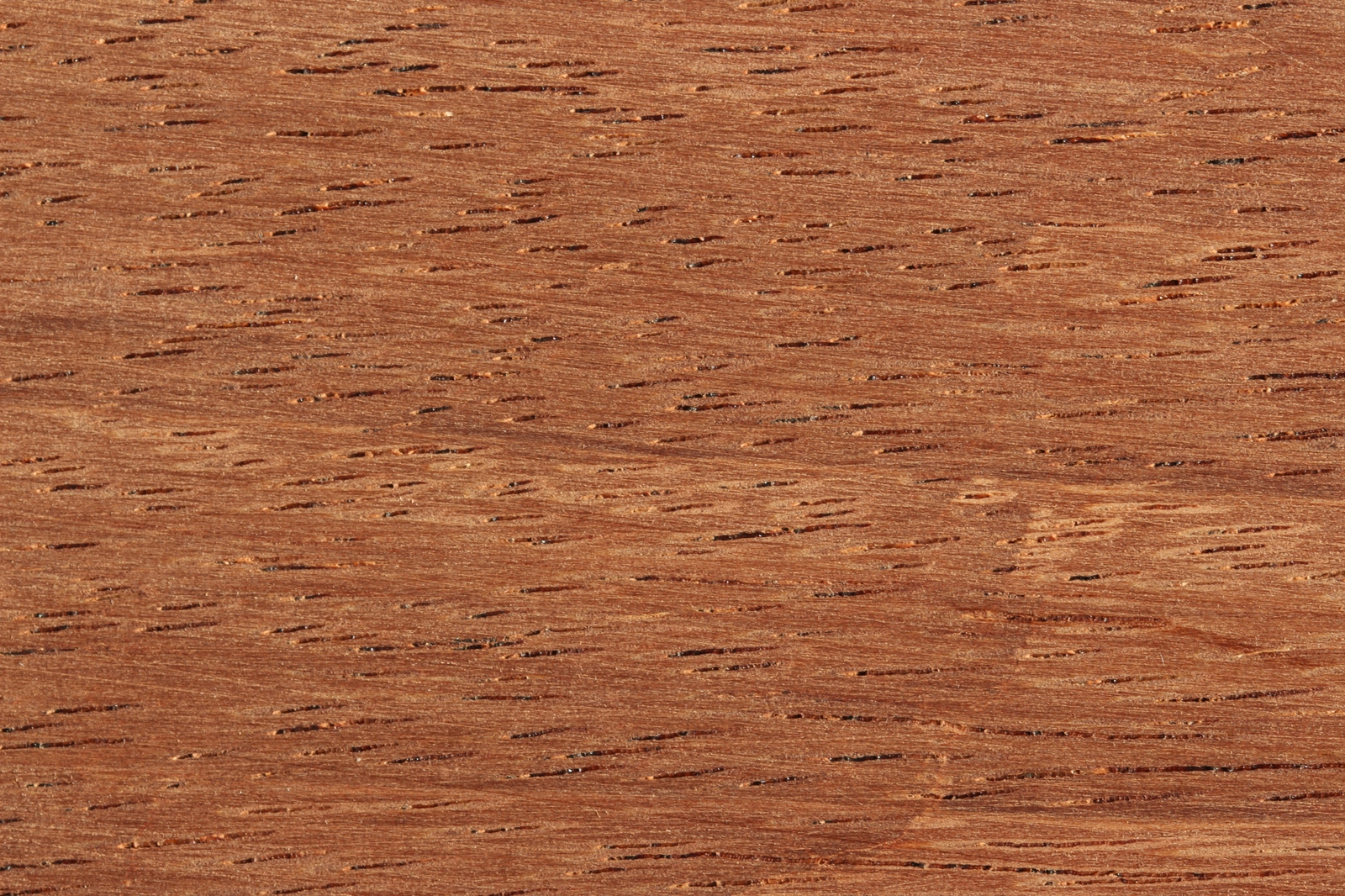 Merbau - Merkmale & Eigenschaften - Holz vom Fach