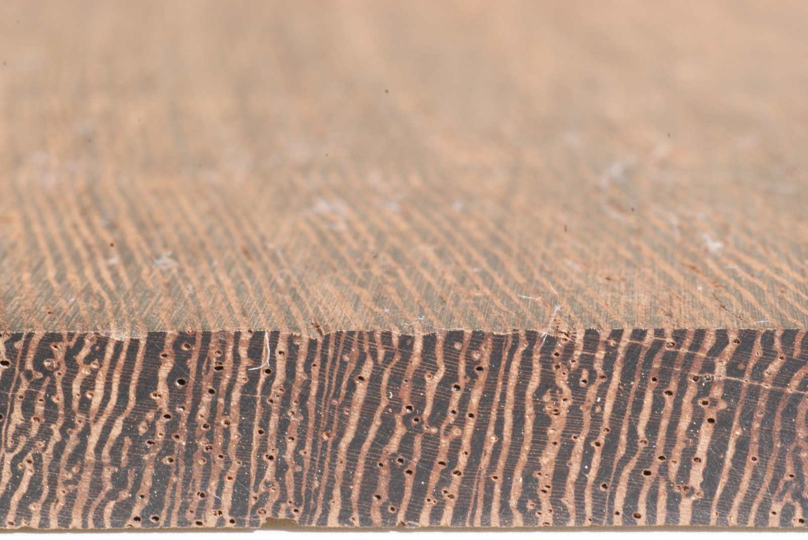 Wenge - Merkmale & Eigenschaften - Holz vom Fach