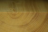 Buchsbaum - Merkmale & Eigenschaften - Holz vom Fach